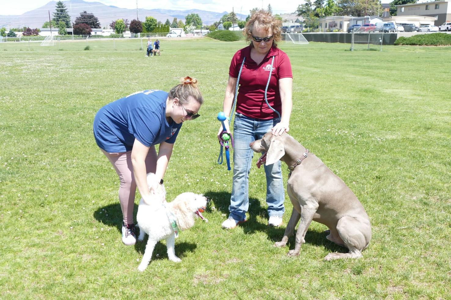 East Wenatchee Dog Pack creates community for dogs and their owners ...