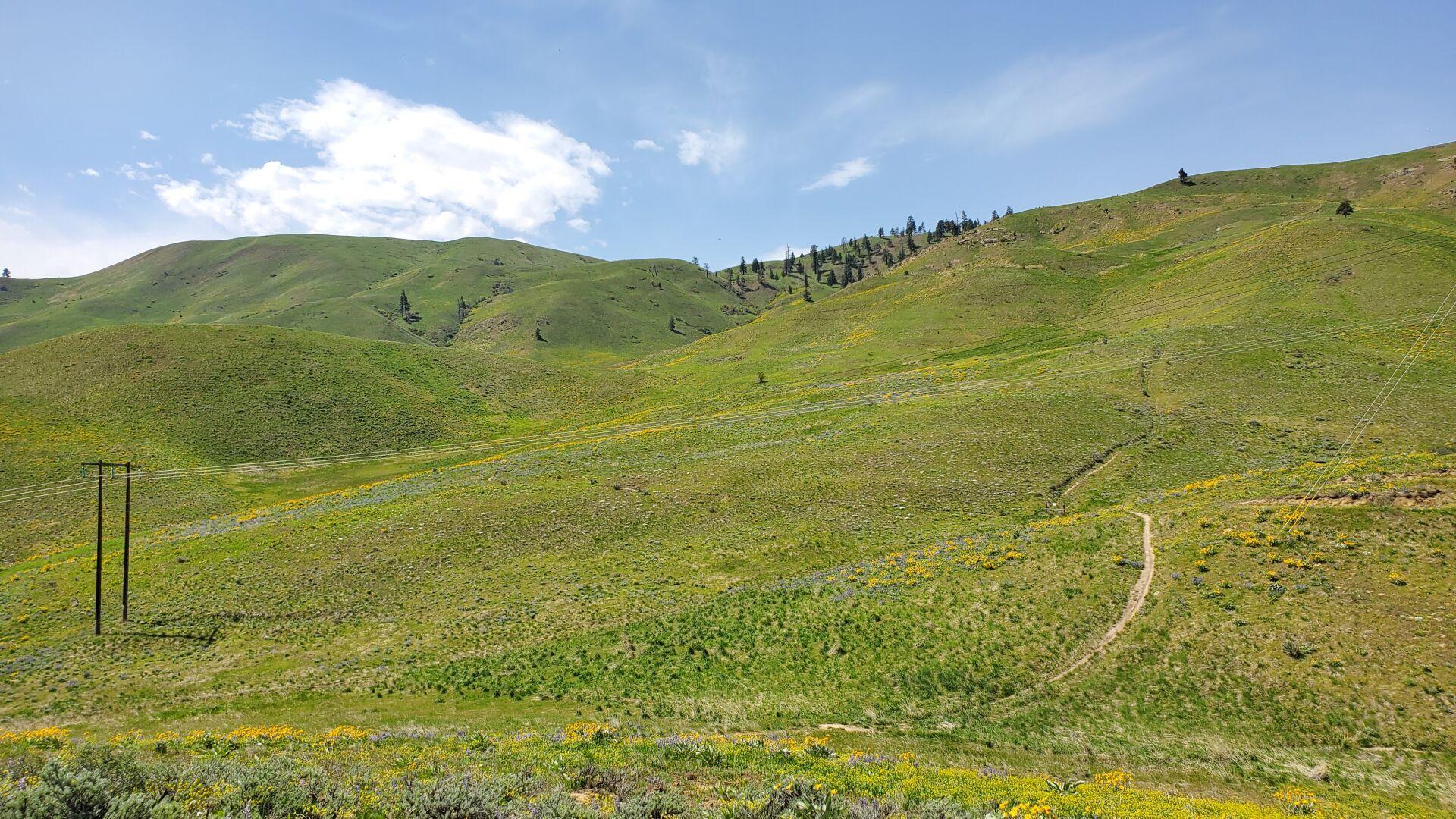 Wenatchee Foothills Trails reopen from annual winter closure | Local ...