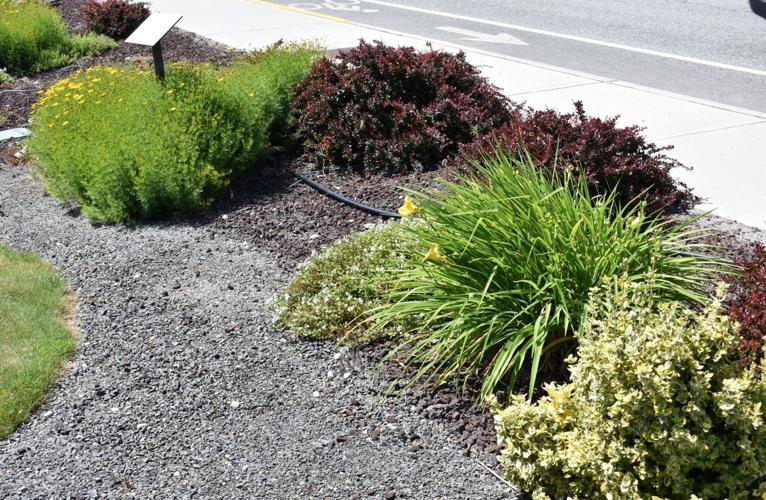 Tips for creating a fire-resistant landscape | lifestyles ...