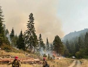 Lower Sugarloaf Fire 11% contained, evacuations extended | Wildfires ...