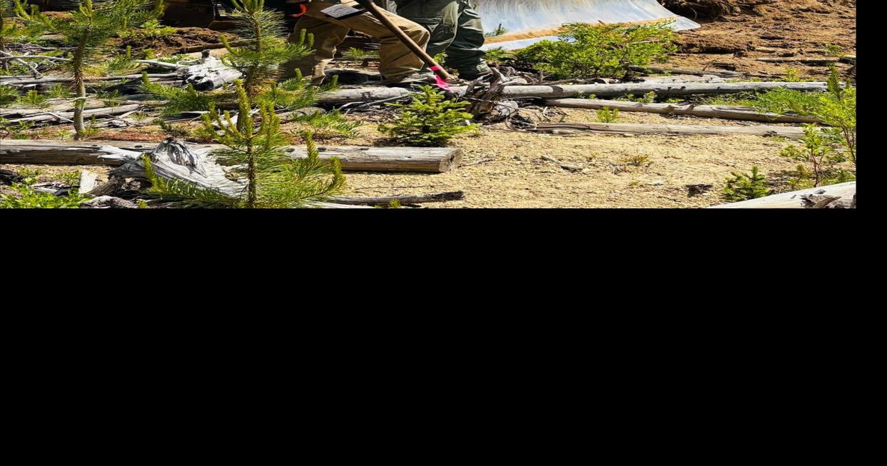 Modest growth on Pomas Fire as crews work to control spread | Wildfires ...