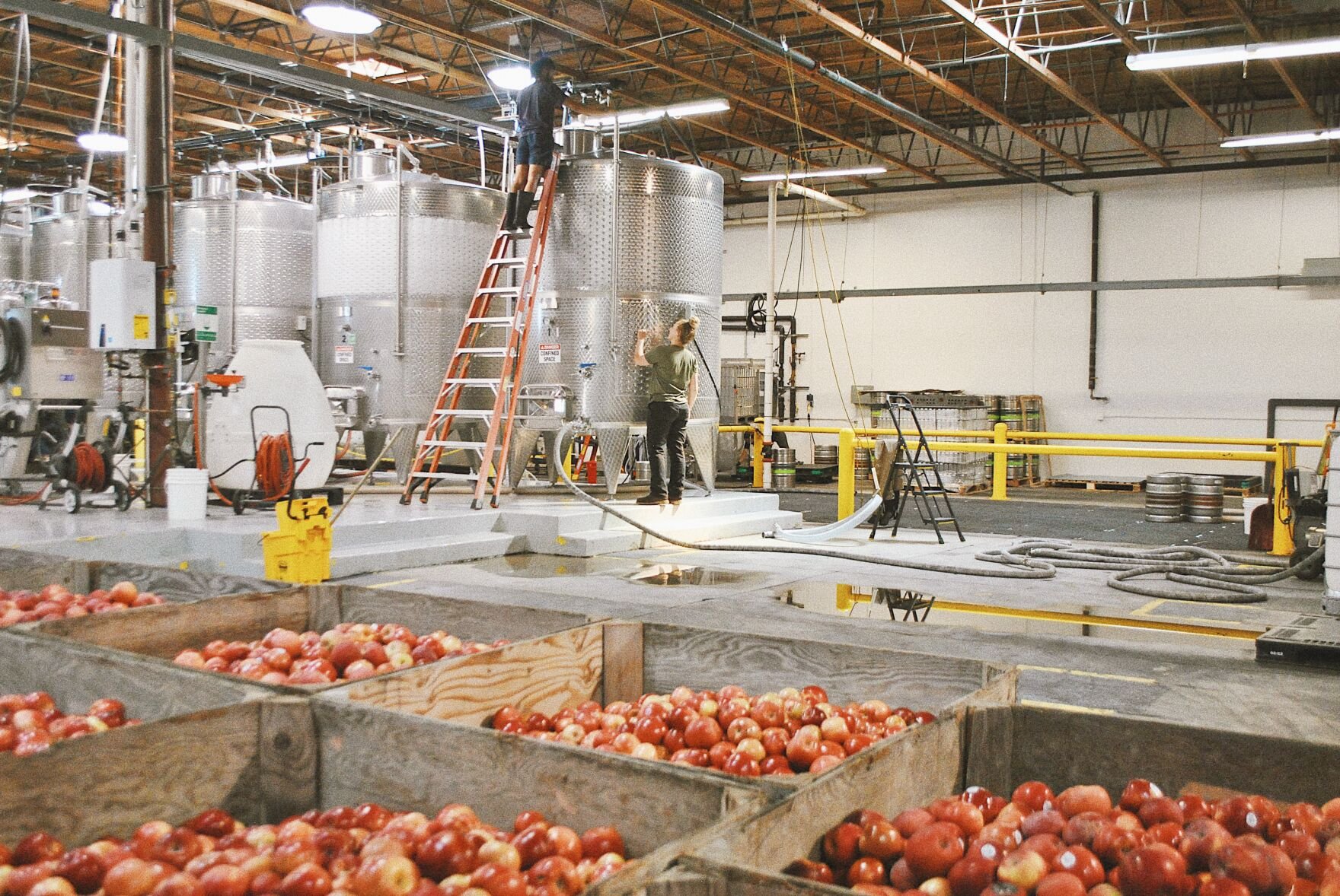 After Dry January, alcohol producers suffer hangover | Business & Real ...