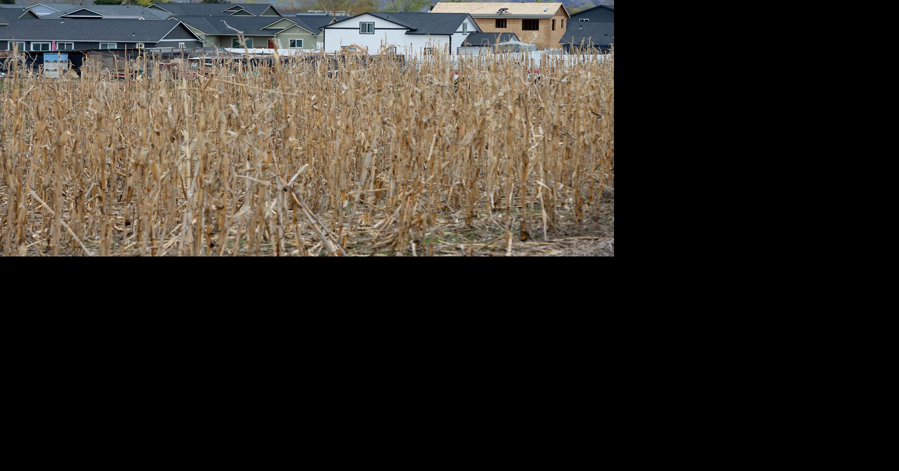 Malaga shines bright | South Chelan County sees development whirlwind ...
