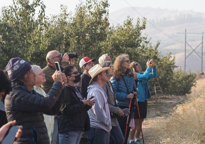 From Spexman the dragon to singing salmon | Heritage tour rediscovers ...