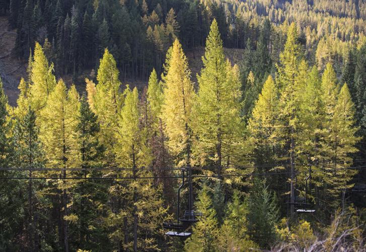 Photos: Tamarack Festival | | wenatcheeworld.com