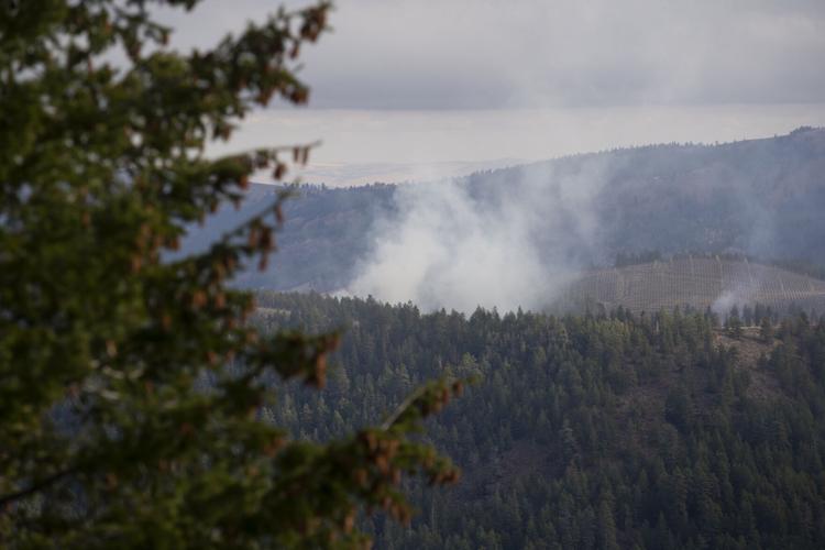 PHOTOS: Orchard burn near Stemilt Basin | News | wenatcheeworld.com