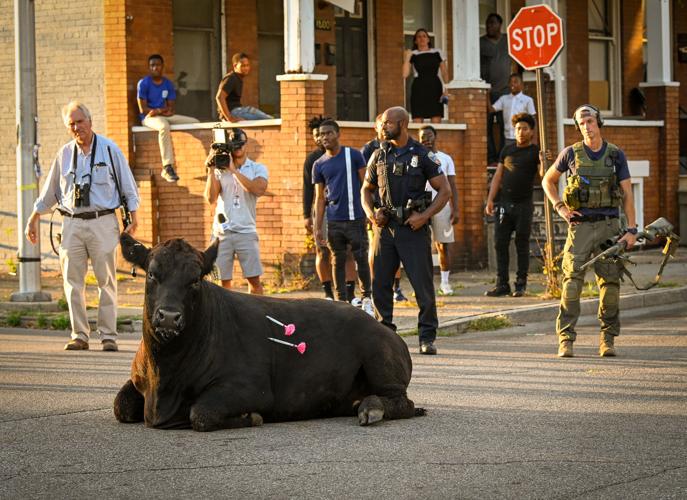 'We regularly train for this': Behind the scenes of Baltimore's latest ...