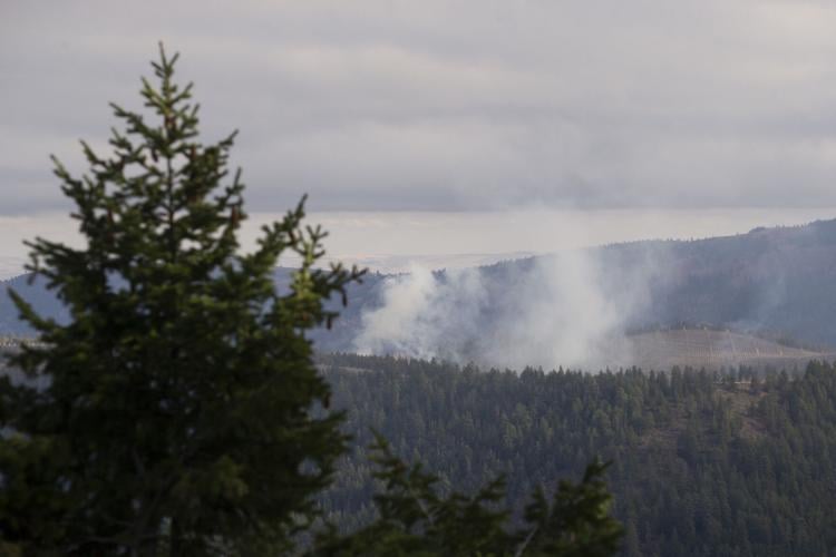 PHOTOS: Orchard burn near Stemilt Basin | News | wenatcheeworld.com