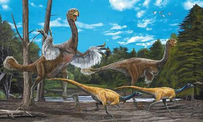 'Big Bird' of Late Cretaceous largest of its kind | | wenatcheeworld.com