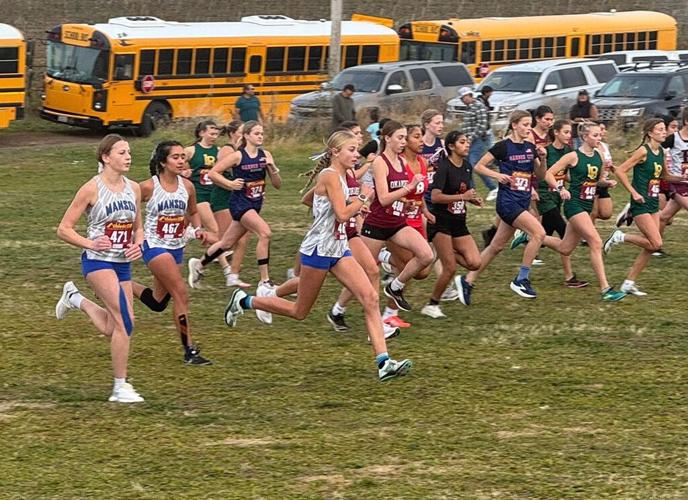 State Champ Profile | How Manson freshman Grace Walsh found ...