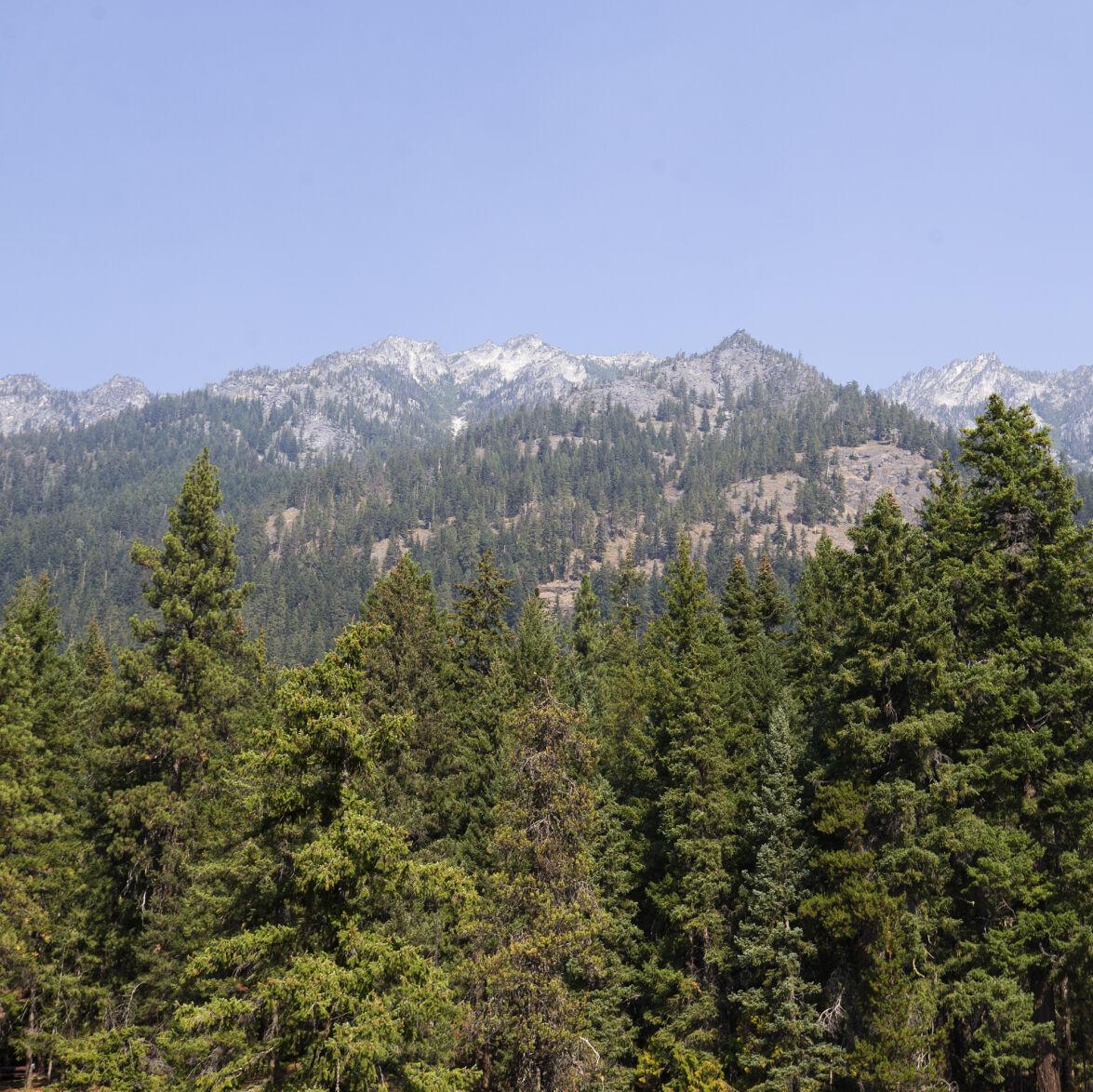 Triple-homicide suspect Travis Decker confirmed dead by US Marshals ...