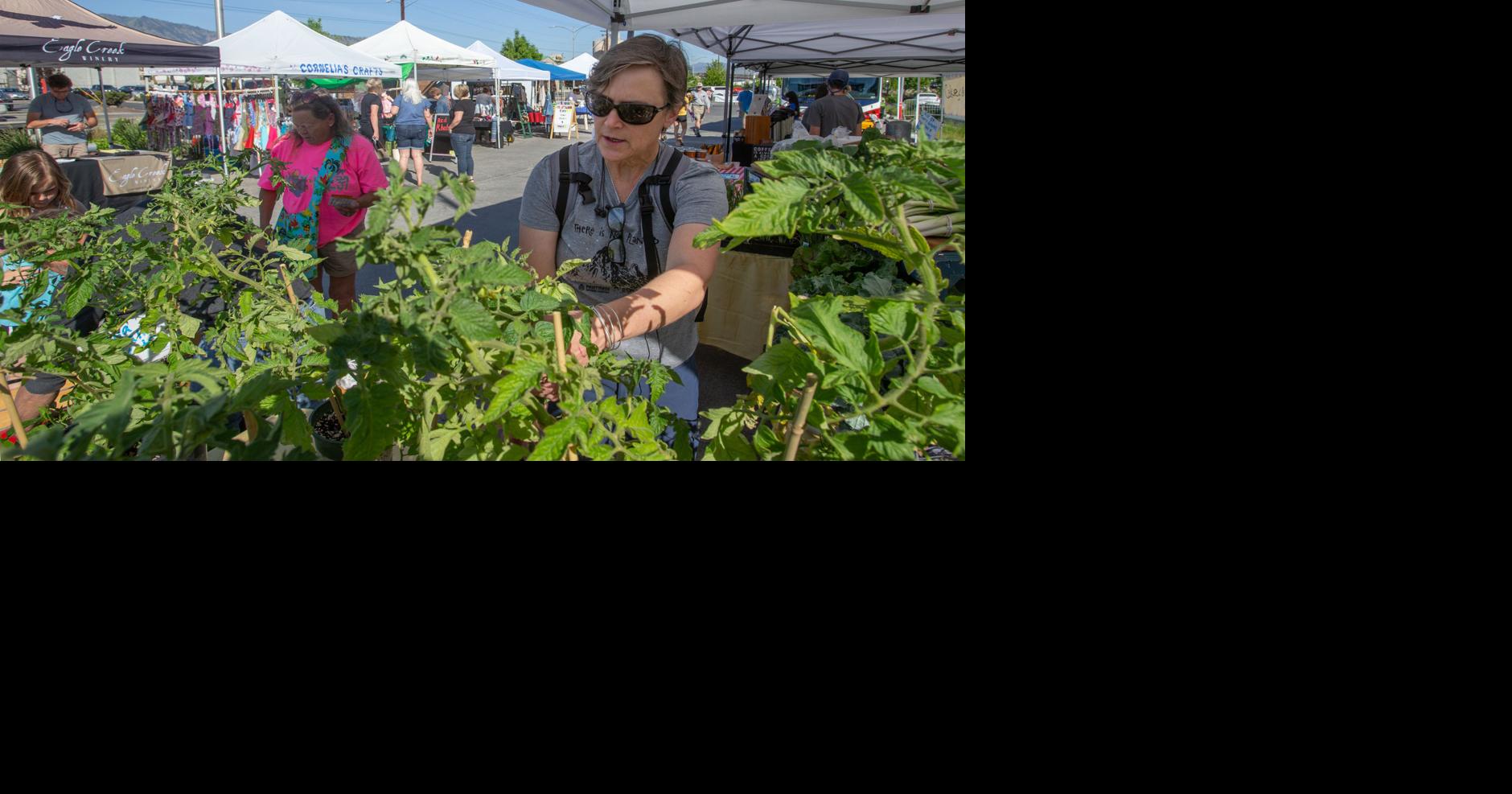 Wenatchee Farmers Market returns to Pybus Public Market for summer ...