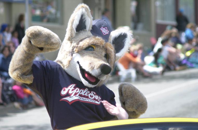 Photo gallery: AppleSox, 20 years of history | Sports | wenatcheeworld.com