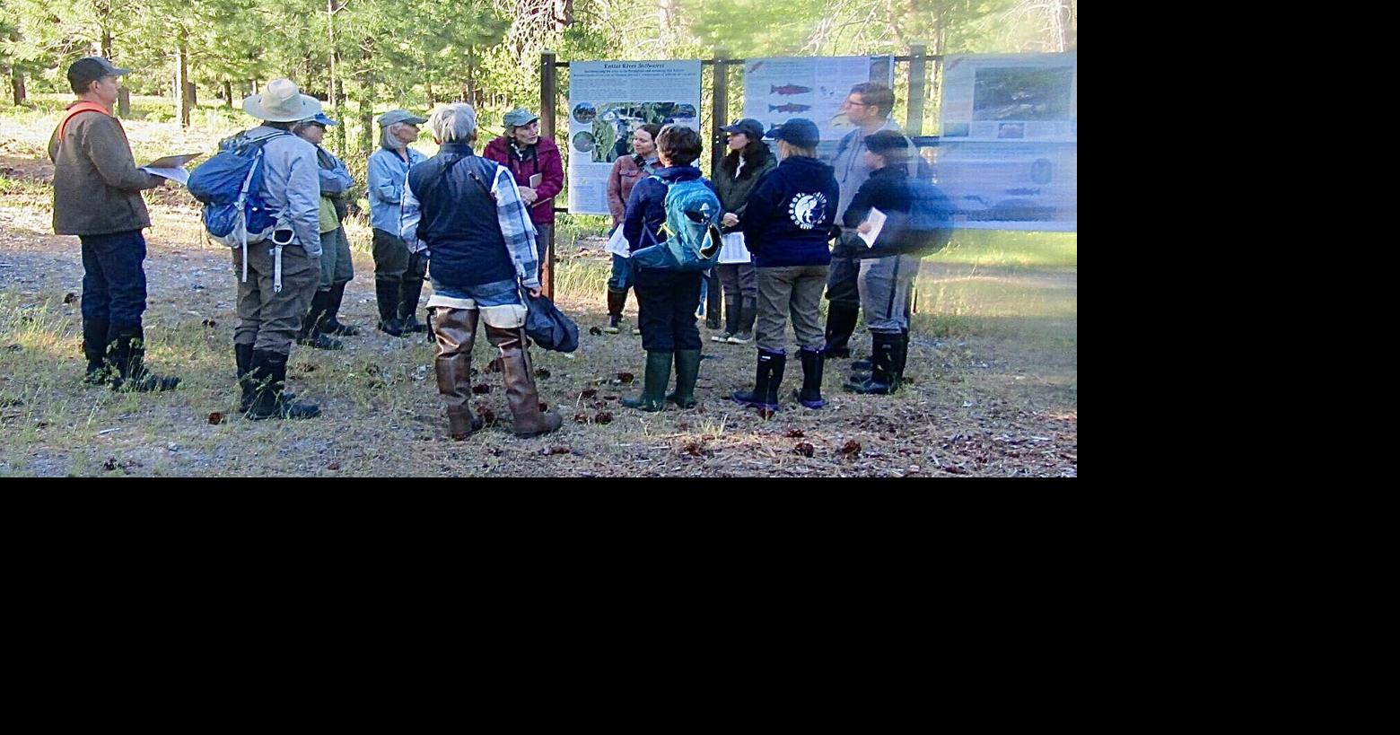 From Birds to Beavers: Entiat watershed tour highlights restoration ...