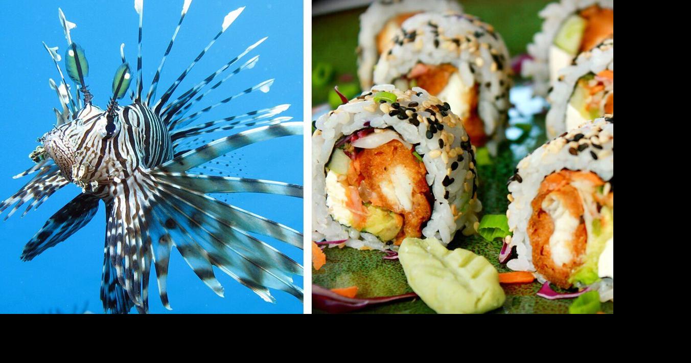 Eat the invaders: is invasivorism the next food trend? | Read ...