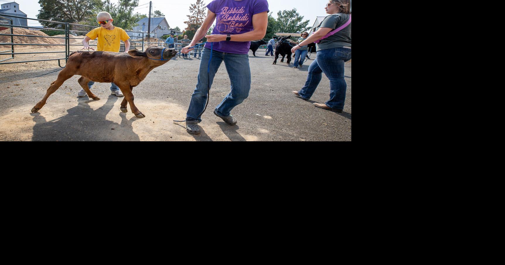 Photos: Heading to the fair | Local News | wenatcheeworld.com