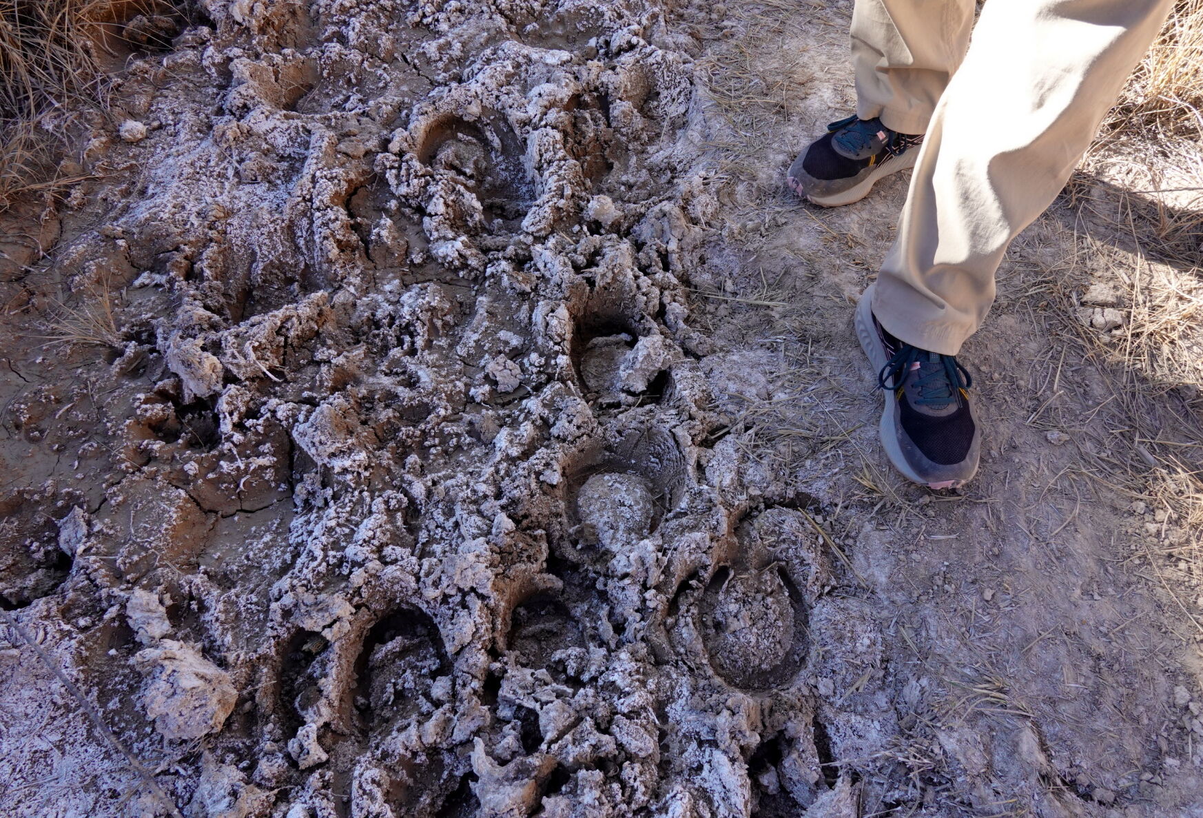 Forty for Forty: Dreary (and muddy) November | Local News ...