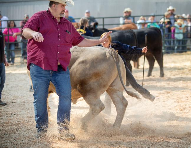 Photo gallery: Opening day at the NCW Fair | Local News ...
