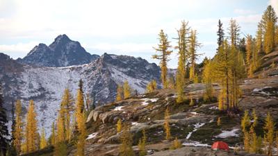 A tale of 2 larch-filled trails in the North Cascades ...
