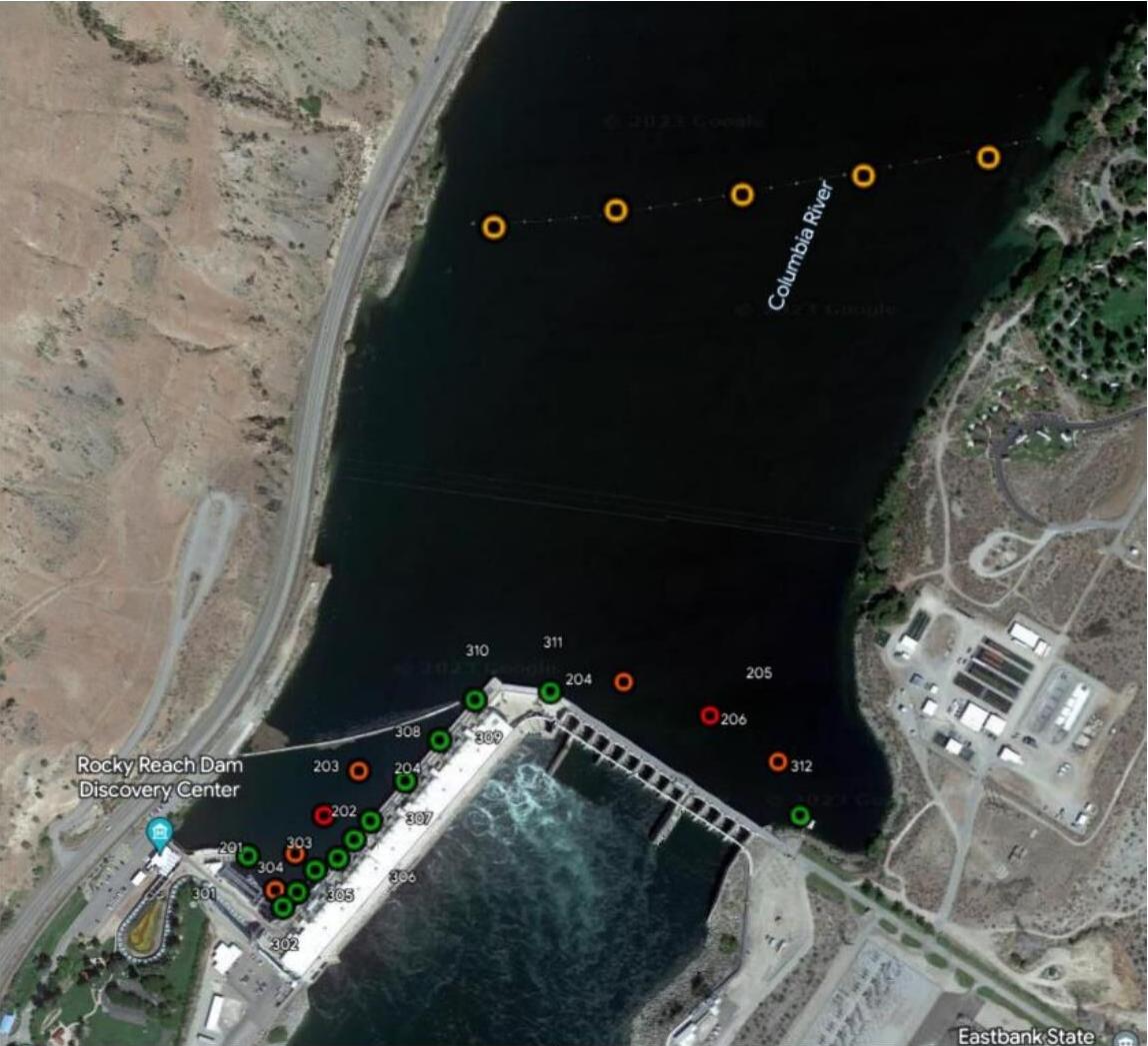 Chelan County PUD's Rocky Reach Dam sees 93.78% juvenile Chinook ...