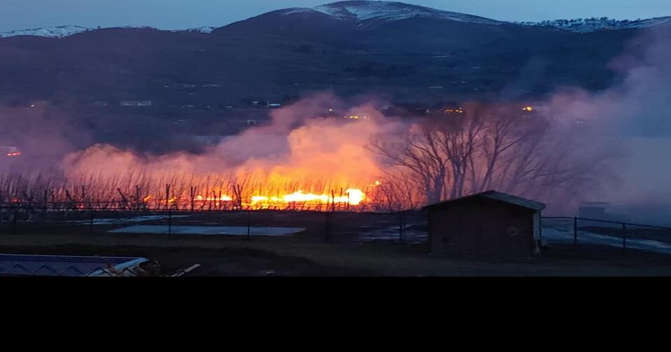 Winds helps cause 2 acre cattail fire near Manson | News ...