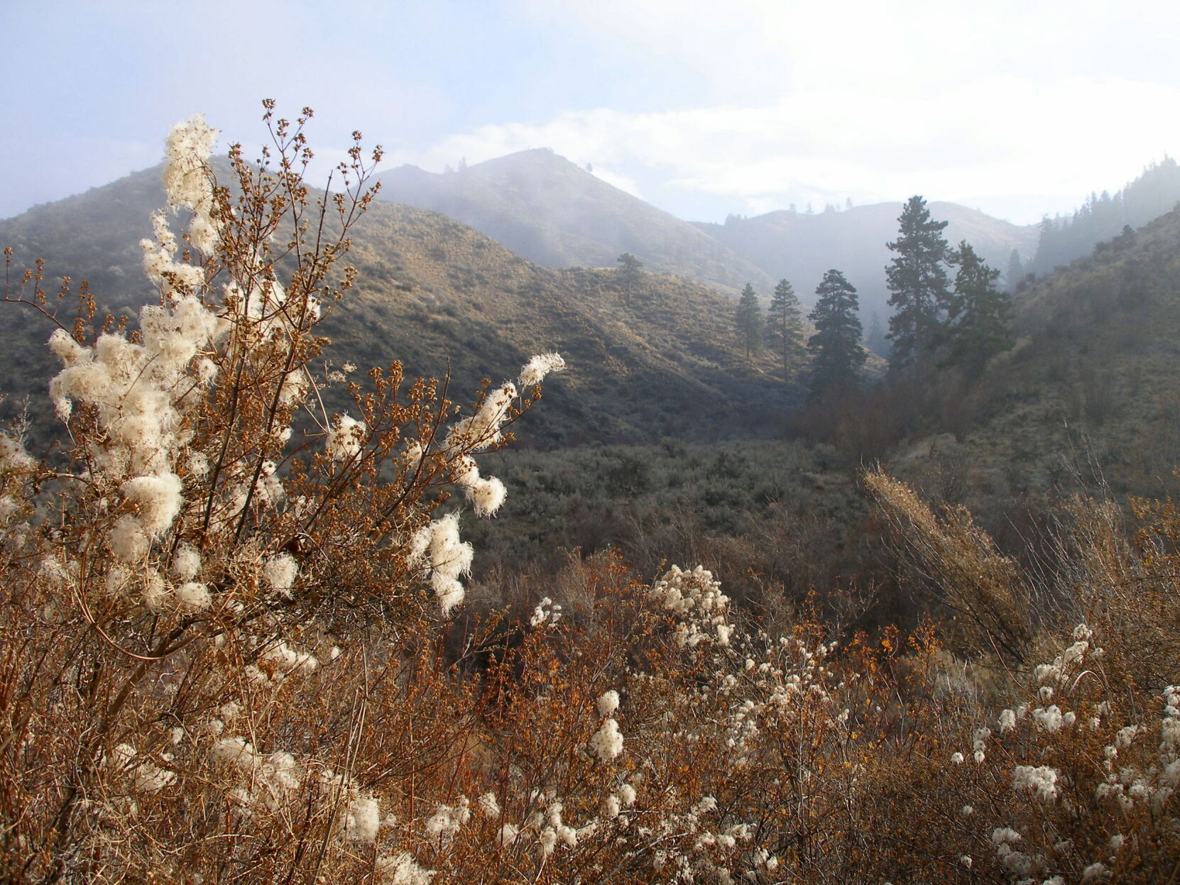 Forty for Forty: Dreary (and muddy) November | Local News ...