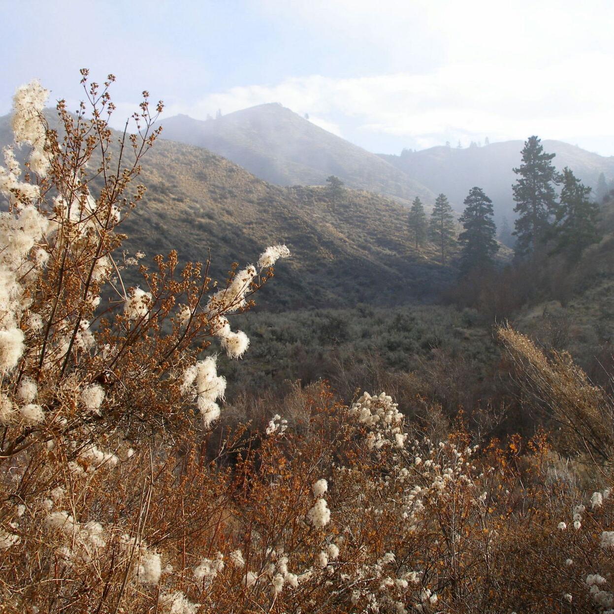 Stevens Pass Epic Passes now on sale | Outdoors | wenatcheeworld.com