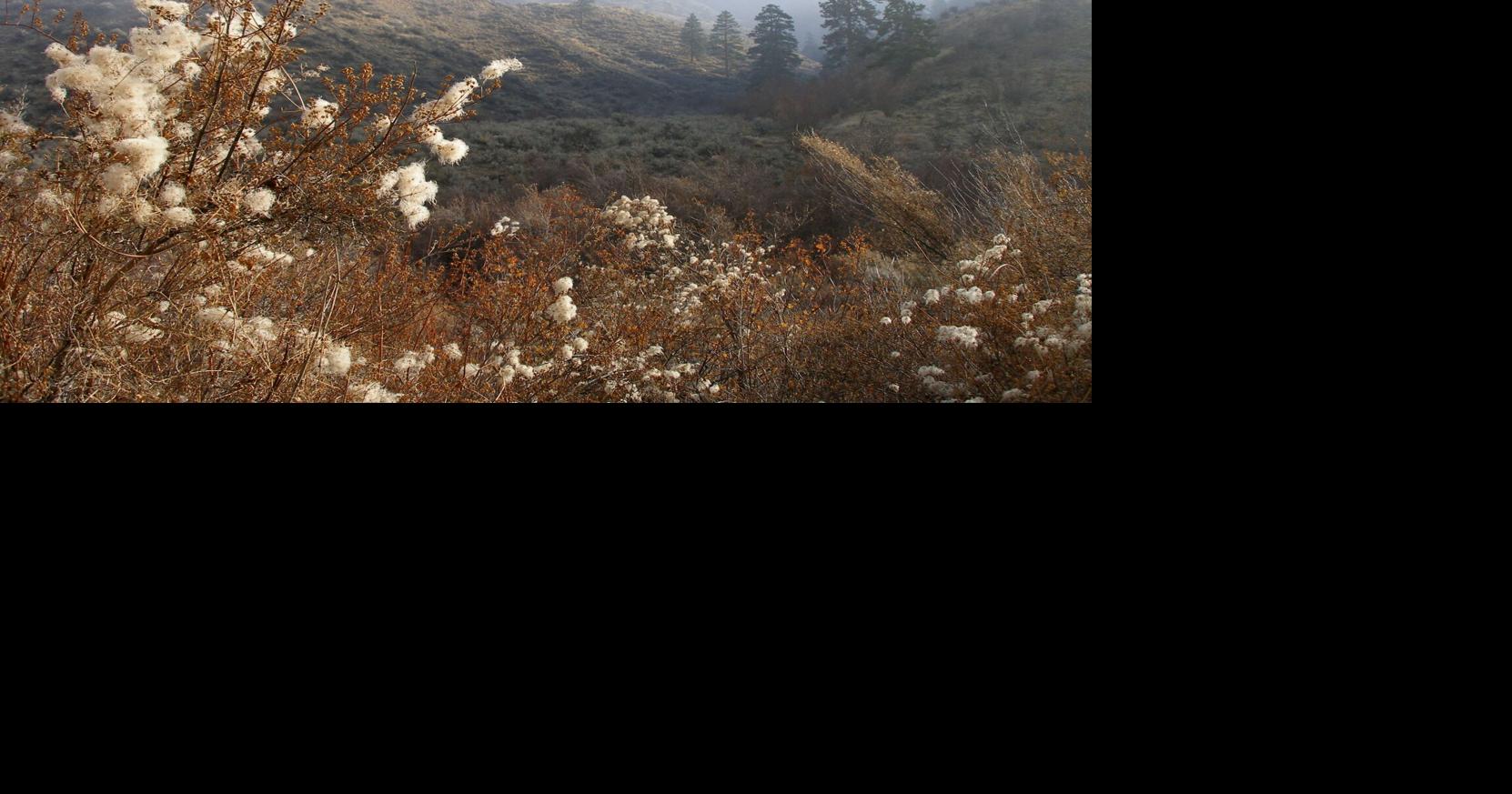 Forty for Forty: Dreary (and muddy) November | Local News ...