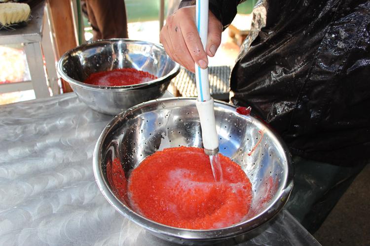 Fish Tales: Roe, roe, roe nearly ready to go at hatcheries | News ...