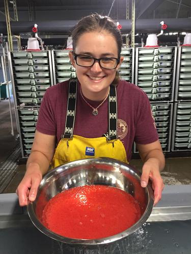 Fish Tales: Roe, roe, roe nearly ready to go at hatcheries | News ...