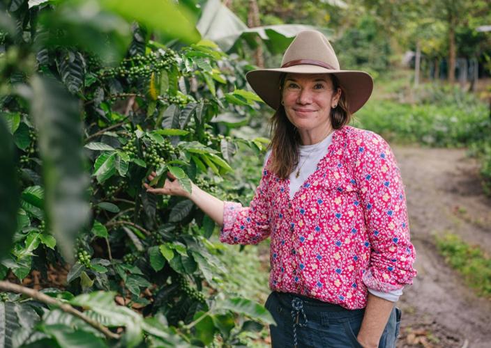 Starbucks aims to protect future of coffee with climate-resistant trees ...