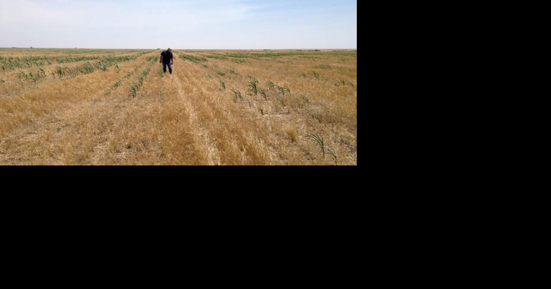 Hot, dry spring dries up Eastern Washington | News | wenatcheeworld.com