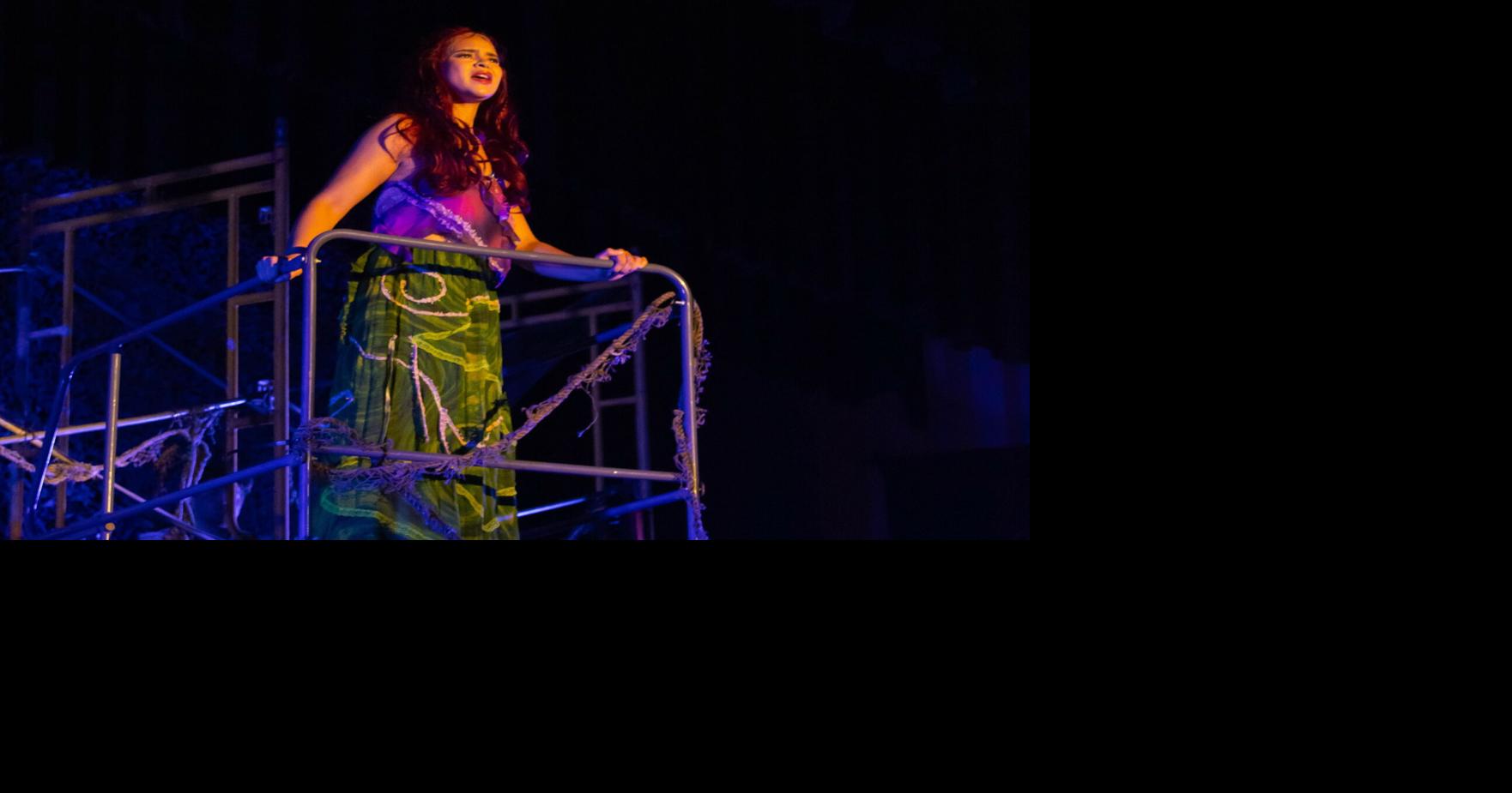 Aquatic actors: from eels to seagulls, 'The Little Mermaid' cast | GO ...