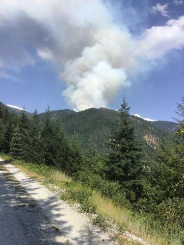 UPDATE | Chikamin Fire reaches 240 acres | News | wenatcheeworld.com