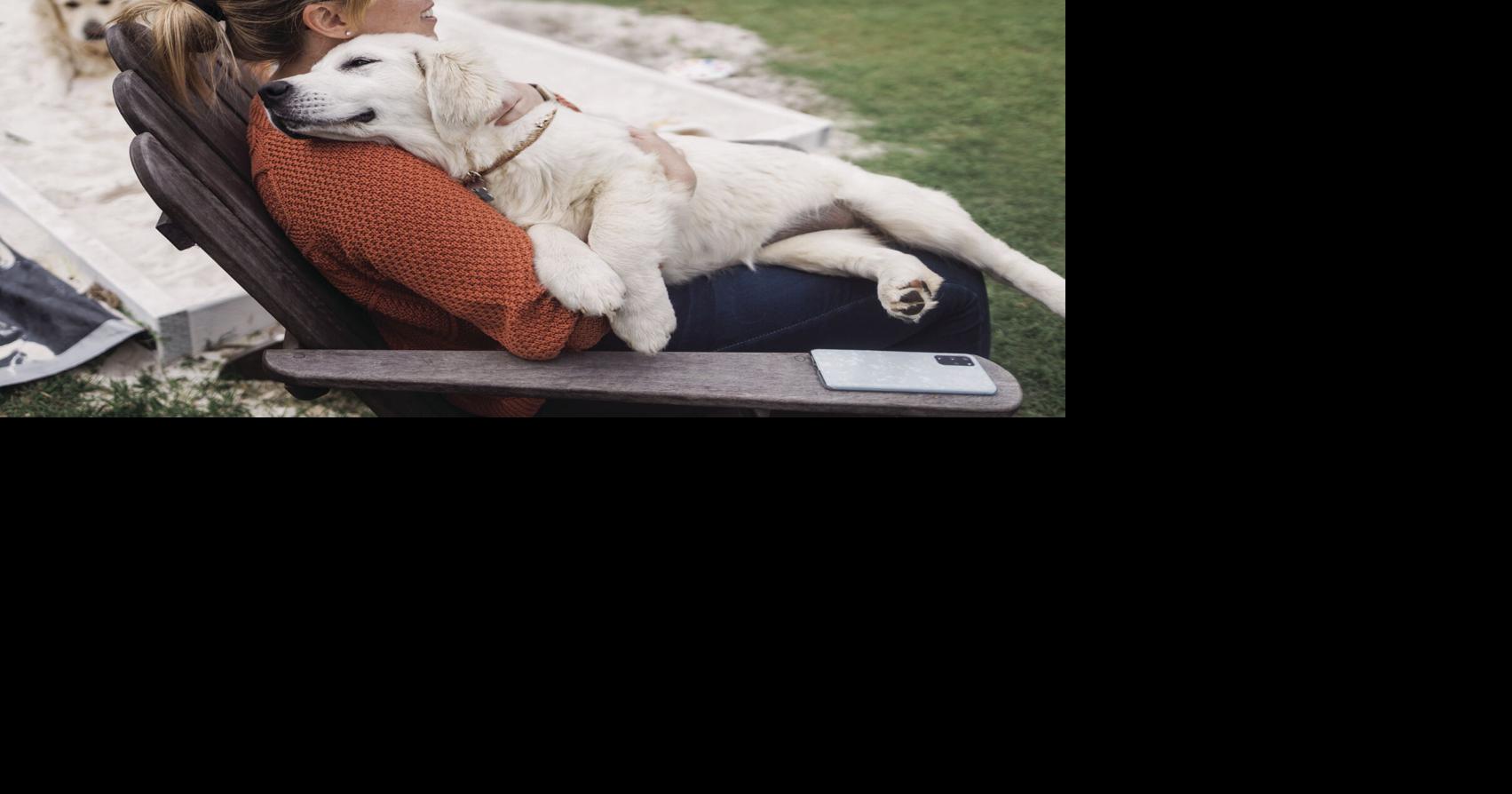 5 tips for keeping pets pest-free | At Home | wenatcheeworld.com