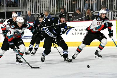 Sward earns US Division Defenseman of the Year nod | Sports ...