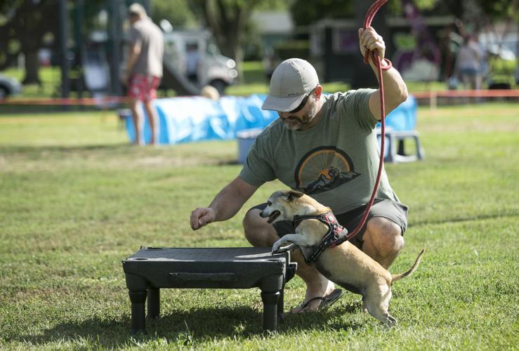 PHOTO GALLERY: Doggie Paddle Swim Day | | wenatcheeworld.com
