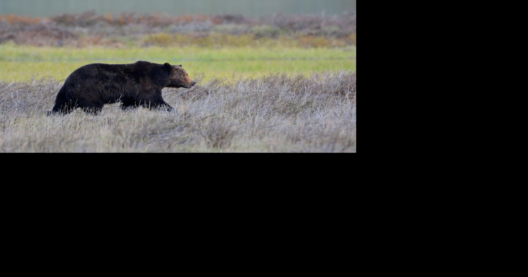 Safety Valve | Porter | Safety Valve: Letters from readers ...