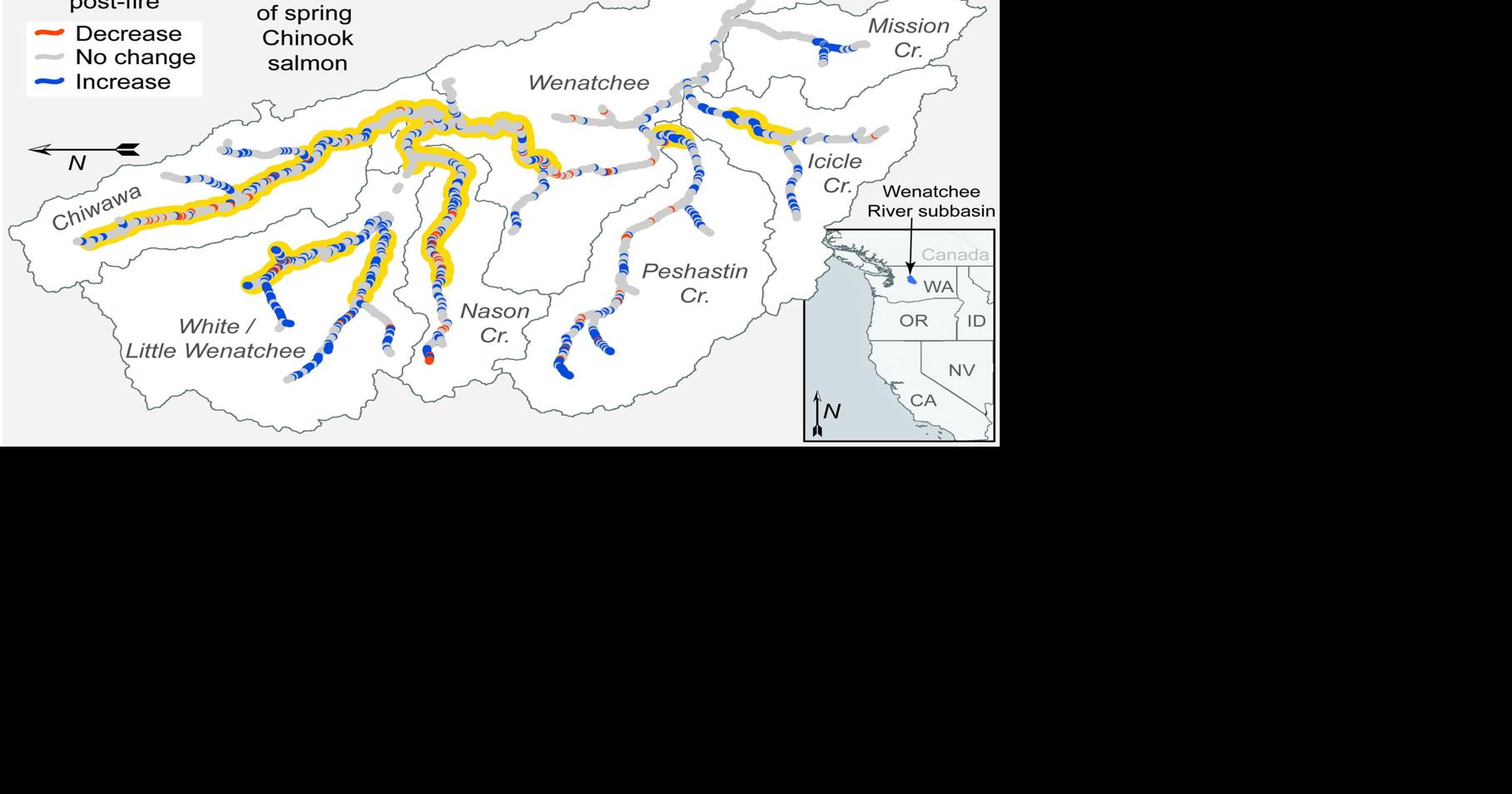 Study suggests wildfires improve spring chinook habitat | Local News ...