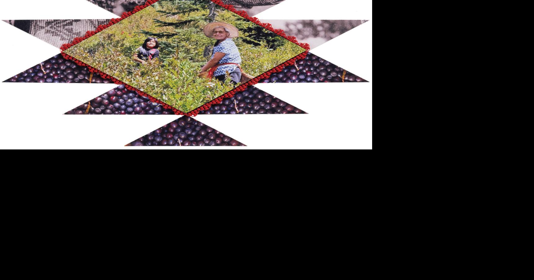 The true cost of the huckleberry industry | Northwest News ...
