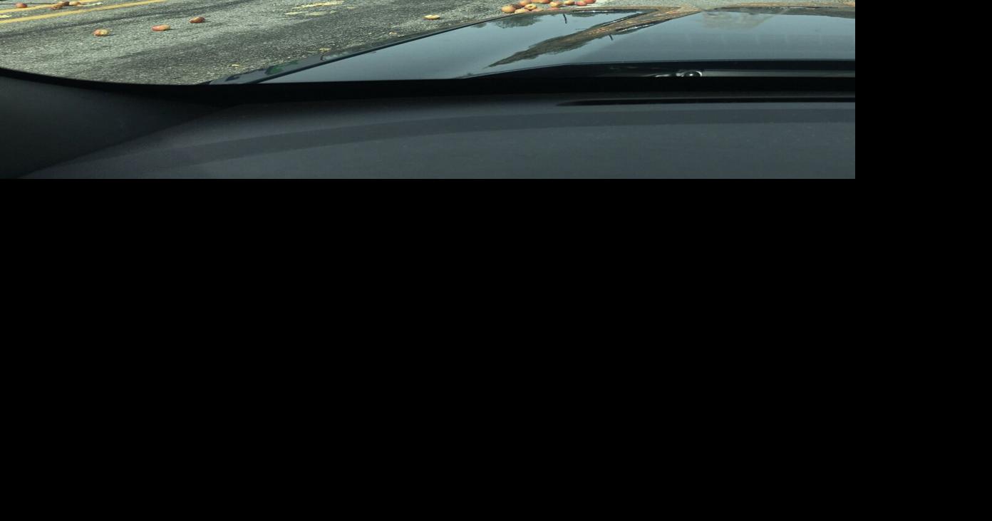 Apples on apples: Truck accident leads to fruit spill | Local News ...