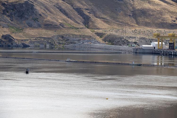 Douglas County PUD invites public to help pave Roadmap to the Future ...