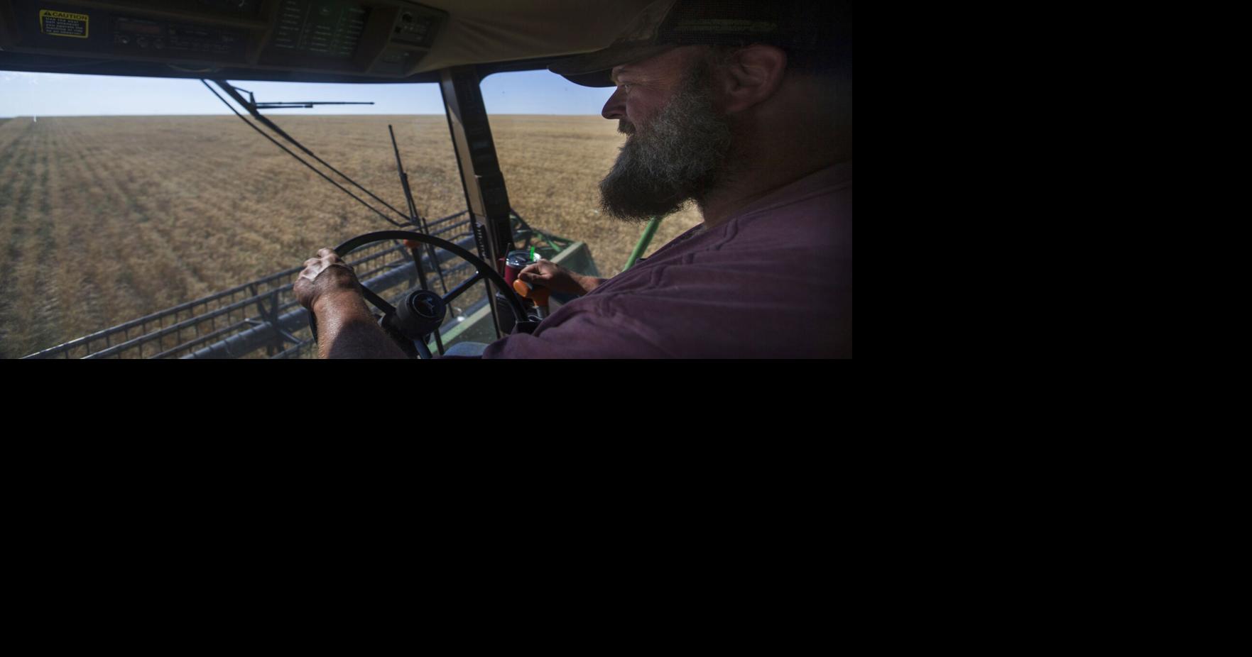 Wheat harvest now underway, including at this North Central Washington ...