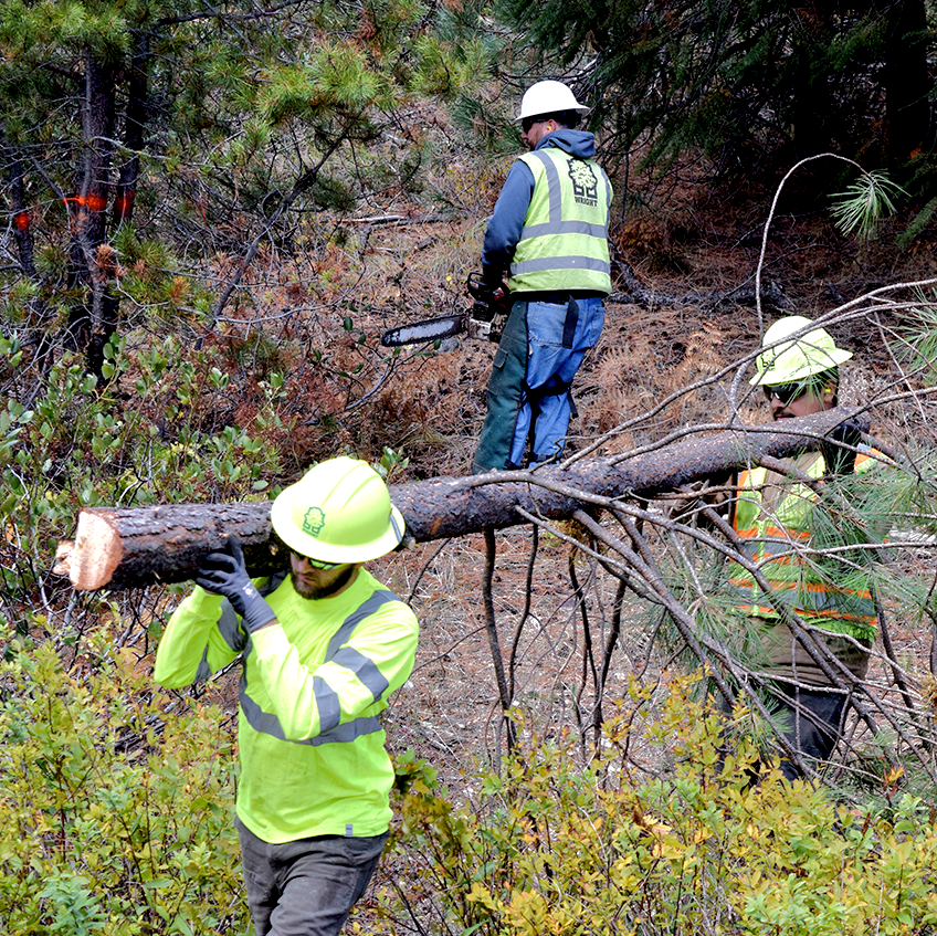 New mural comes to Kiwanis Methow Park | Local News | wenatcheeworld.com