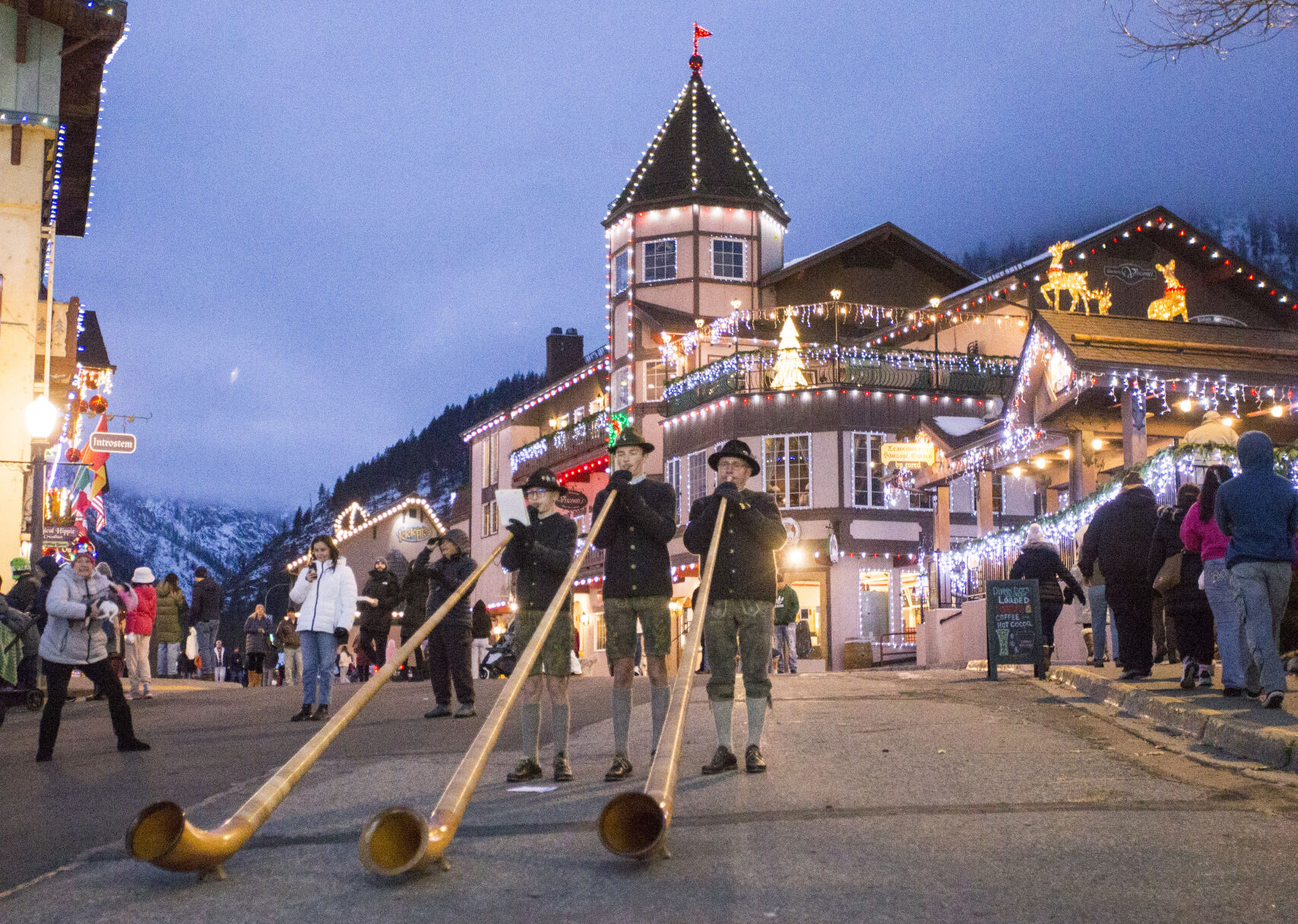 Village of Lights Christmastown Celebration: Music, carriage rides, and ...
