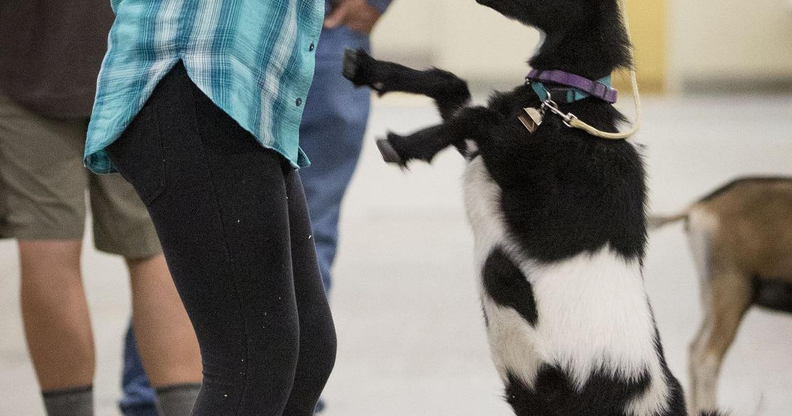 Fair-thee-well | Local News | wenatcheeworld.com