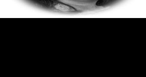 Donald Hindman's Instagram, Twitter & Facebook on IDCrawl