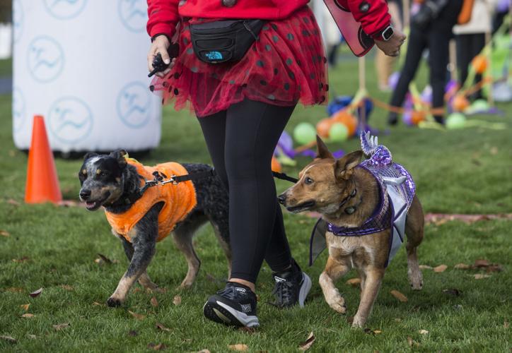 Photos: YMCA's Monster Dash Fun Run | | wenatcheeworld.com