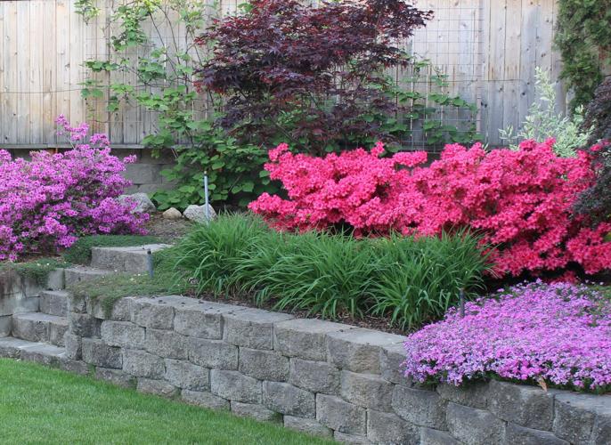 Ideas for transitioning landscapes from one season to the next | Local ...
