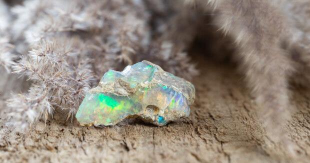 'We found our people.' WA's rock hounds comb mountains and beaches for stony treasures ...